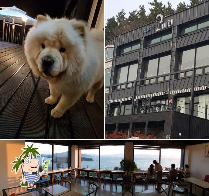 Cafe코끼리, Sacheon-si - Restaurant reviews