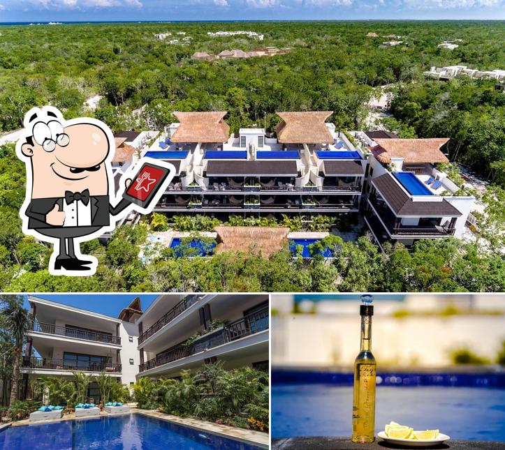 KASA Hotel Parota Tulum, Tulum - Menú del restaurante, precios y reseñas