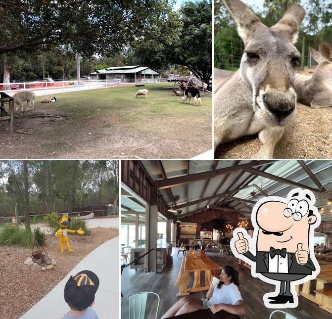 Top 3 restaurants with sundaes in Oxenford, november 2025 - Restaurant Guru