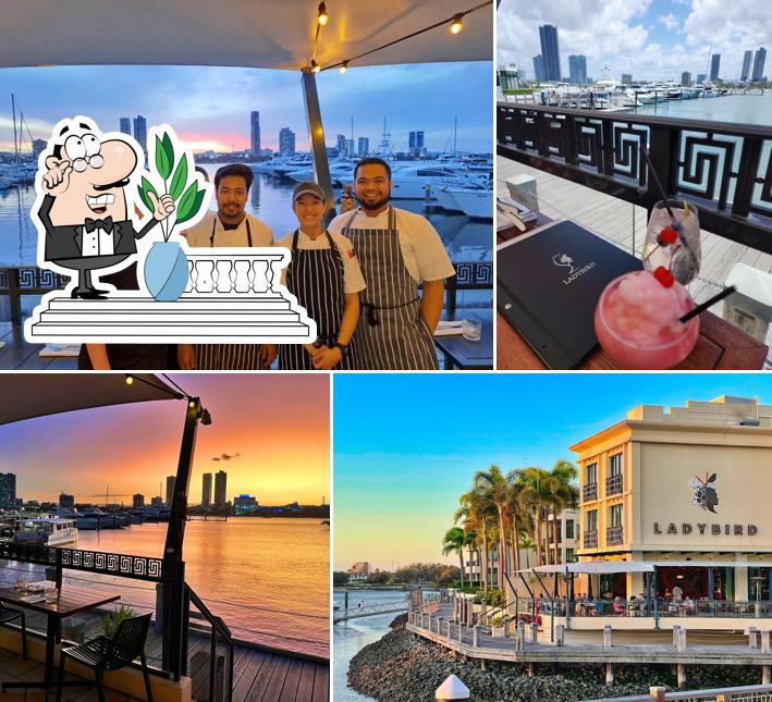 Ladybird Restaurant & Bar in Main Beach - Restaurant menu and reviews