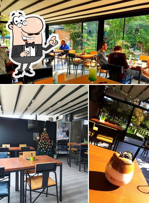 Café Three Monkeys, Skopje - Restaurant menu, prices and reviews