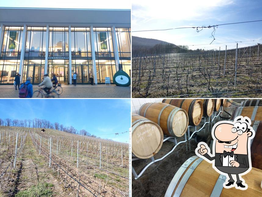 Weingut & Hotel GOGER mit Restaurant, Sand am Main - Speisekarte ...