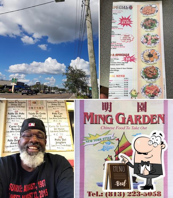 ming garden Chinese Restaurant, 2601 N Tampa St in Tampa - Restaurant ...
