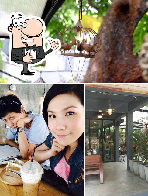 ทิตยาเค้กมะพร้าว desserts, Bangkok - Restaurant reviews