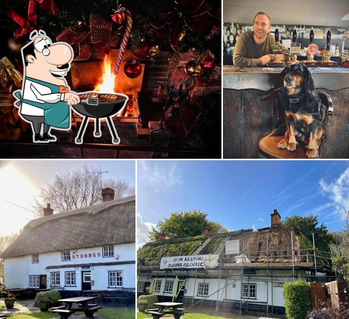 The Rose and Thistle in Fordingbridge - Restaurant menu and reviews