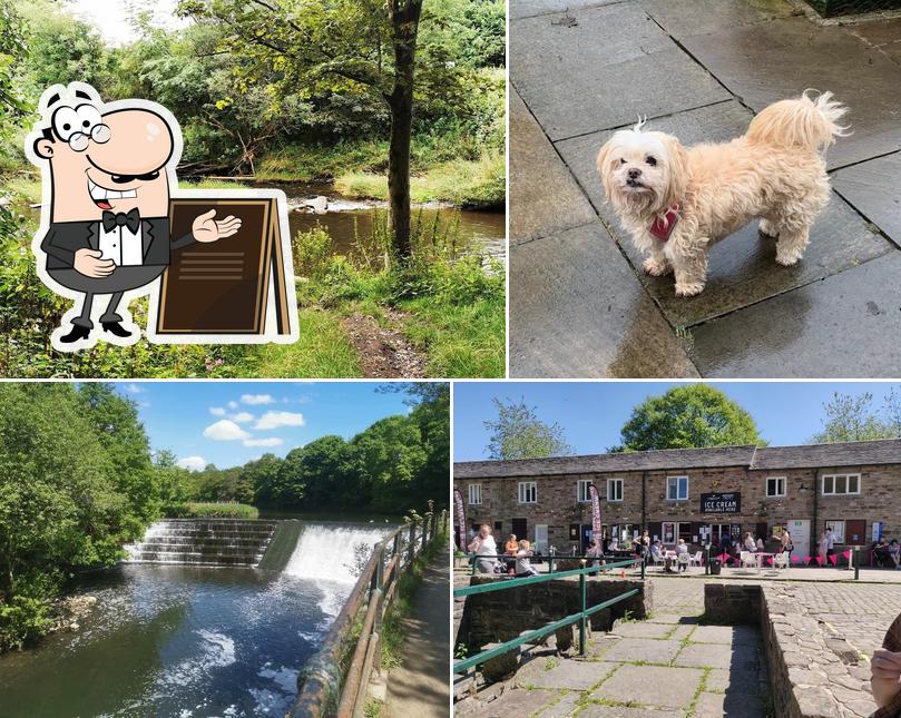 The Lamppost - Burrs Country Park in Bury - Restaurant reviews
