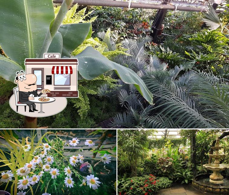 Inverness Botanic Gardens and Café, Inverness - Restaurant menu, prices ...