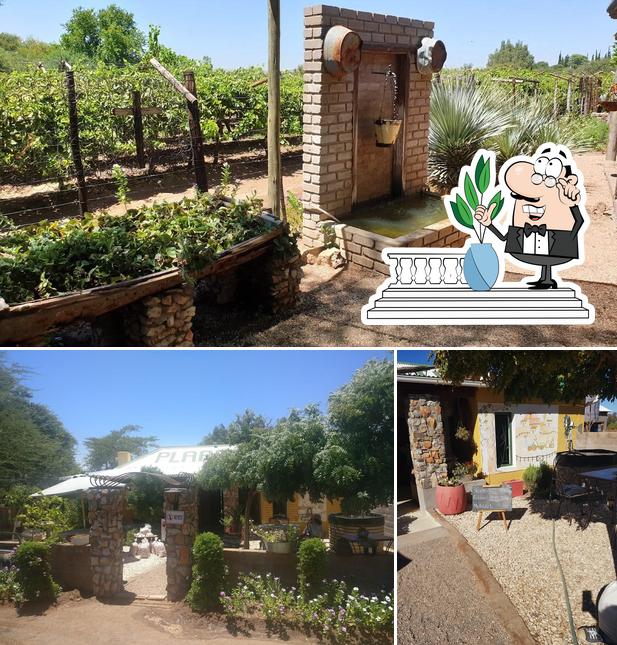Akkerboom plaasstal - Restaurant menu, prices and reviews