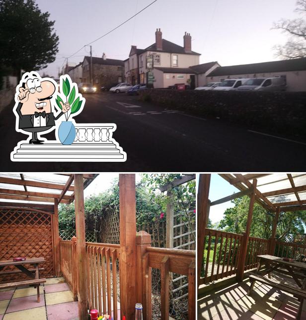 The Lamb Inn, Axminster - Restaurant menu, prices and reviews