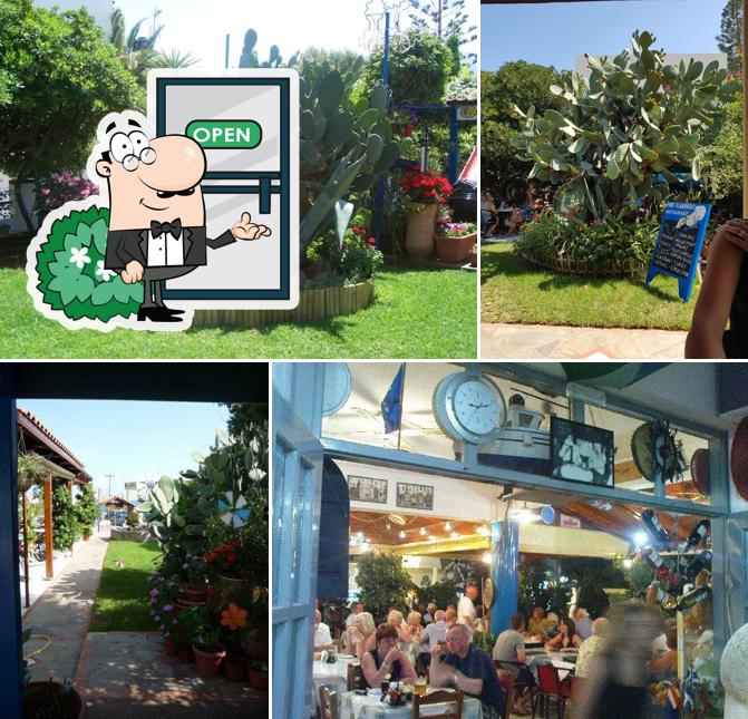 Pink Flamingo Restaurant Sissi, Sisi - Restaurant reviews