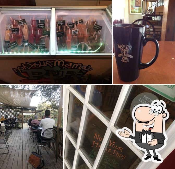 Black Dog Cafe, Tallahassee - Restaurant menu, prices and reviews