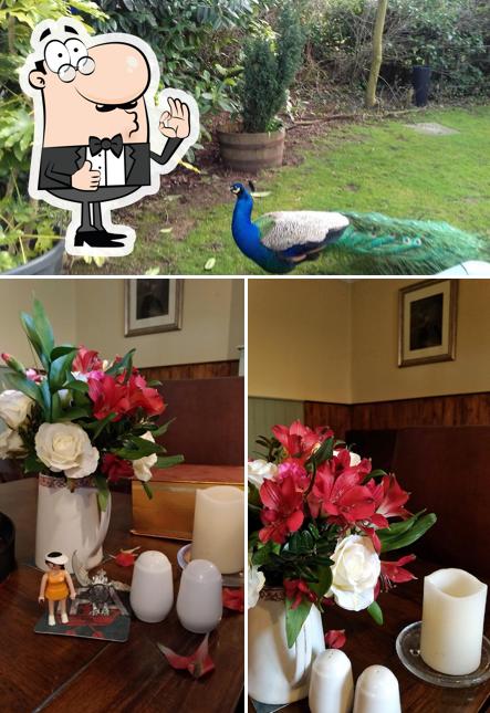 The Lilley Arms in Luton - Restaurant reviews