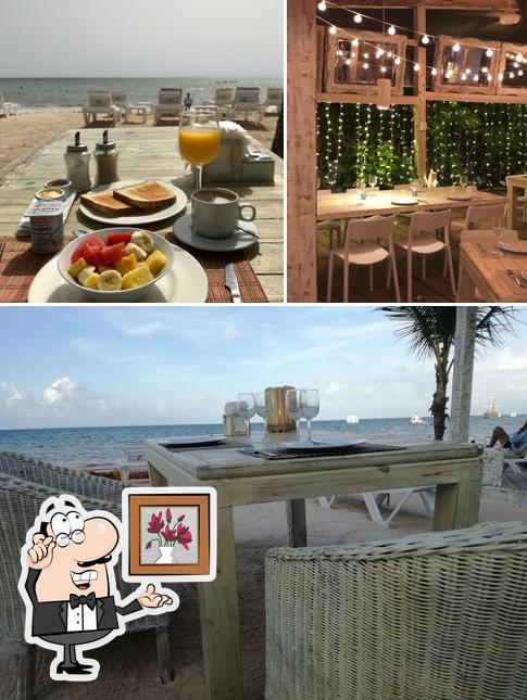 Zoho Beach Club Punta Cana, Punta Cana - Restaurant reviews