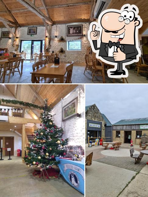 Grazers cafe in Ventnor - Restaurant reviews