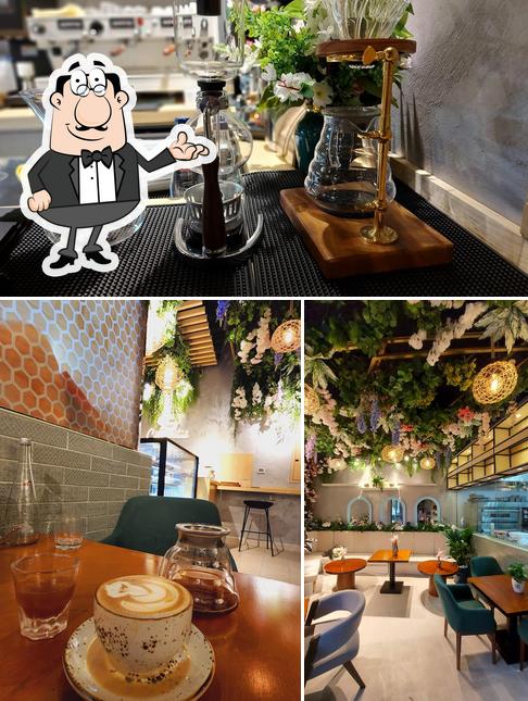Springs Café, Abu Dhabi - Restaurant menu, prices and reviews