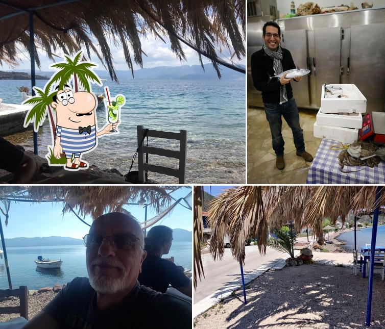 Fish tavern Theoni Kolias, Vathi - Restaurant reviews