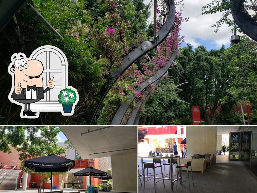 Blue Basement Cafe, South Brisbane - Restaurant menu, prices and reviews