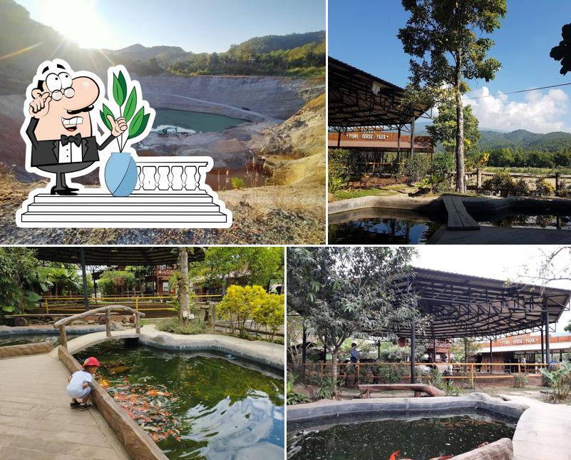 Best restaurants for birthday parties in Ban Pong, Chiang Mai, winter ...