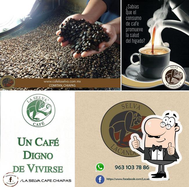 Café Selva Lacandona, Comitán, Carretera Panamericana km. 1261.5 ...