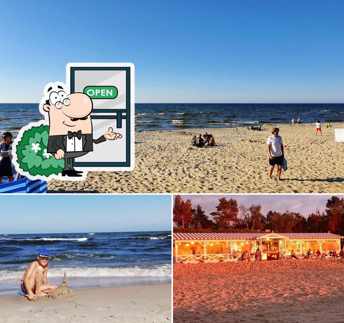 Macarena Beach Bar, Krynica Morska - Restaurant menu, prices and reviews