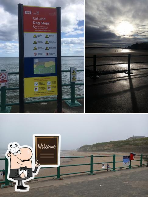 Café at the Cat & Dog Steps, Sunderland - Restaurant menu, prices and ...