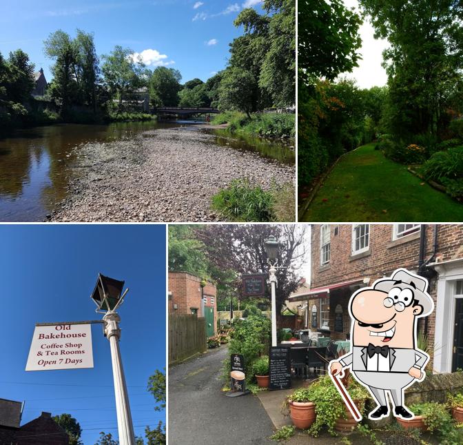 Café The Old Bakehouse, Morpeth - Opiniones del restaurante