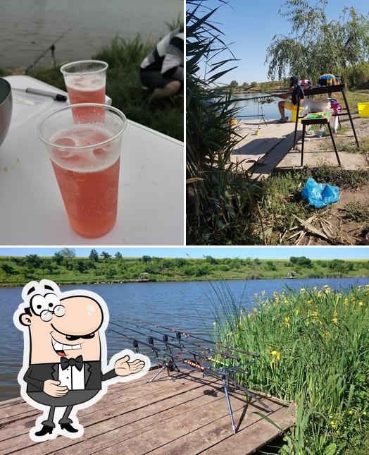 Balta Balaria, Roumanie - Restaurant reviews