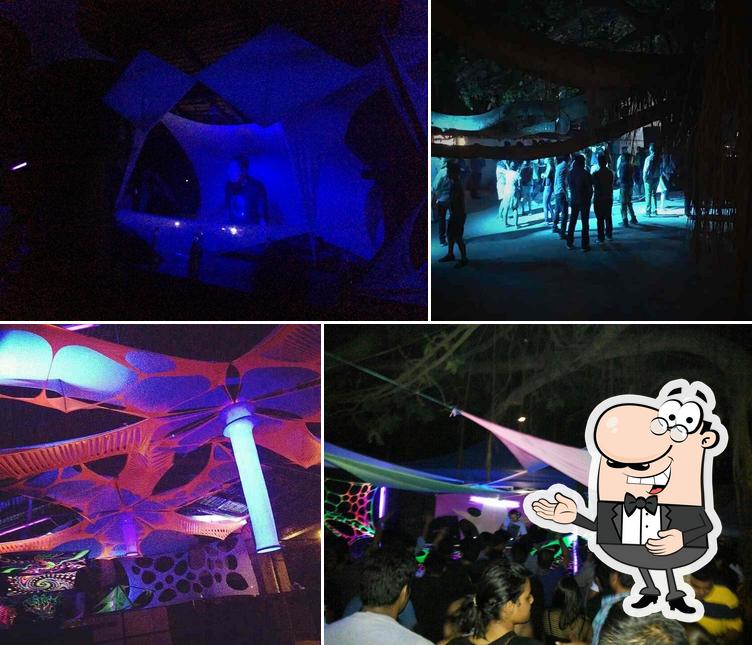 PEBBLE The Jungle Lounge, Bengaluru - Restaurant menu, prices and reviews