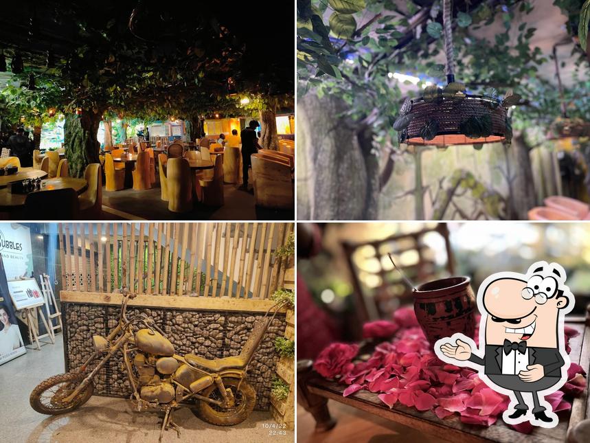 Maredumilli - The Forest Grill & Bar and The Up Hill, Hyderabad ...
