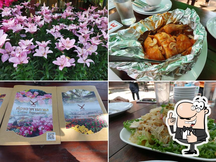 Galae Restaurant, Chiang Mai - Restaurant menu, prices and reviews