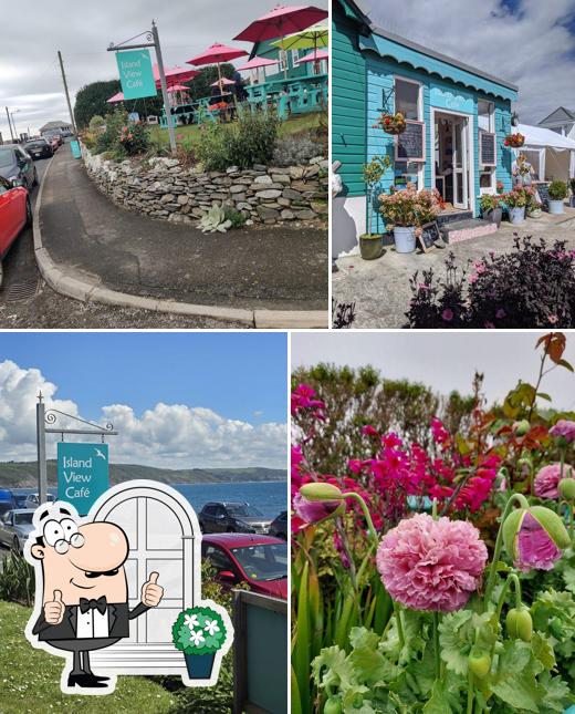 Island View Cafe, Marine Dr in Looe - Restaurant reviews