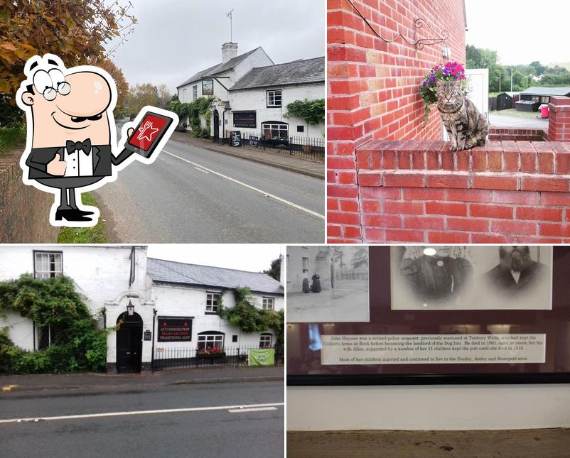 The Dog at Dunley in Stourport-on-Severn - Restaurant menu and reviews