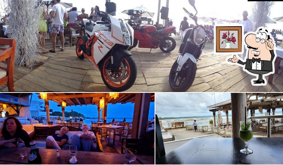 Boca Marina, Boca Chica - Restaurant menu, prices and reviews