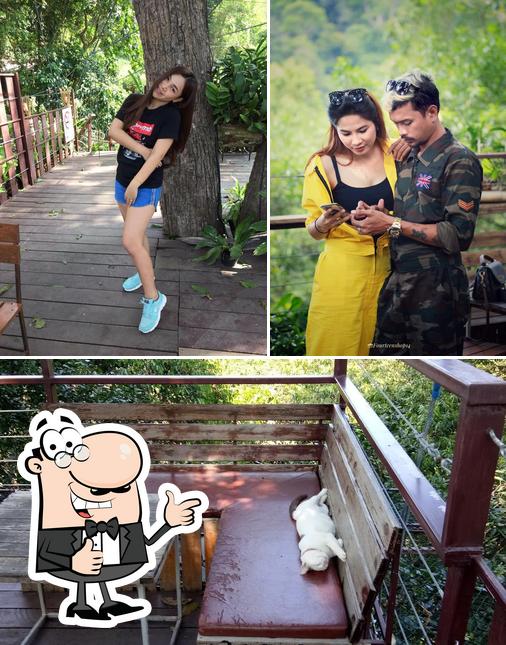 ร้านกาแฟบนต้นไม้ cafe, Ko Samui, GXPR+89C - Restaurant reviews