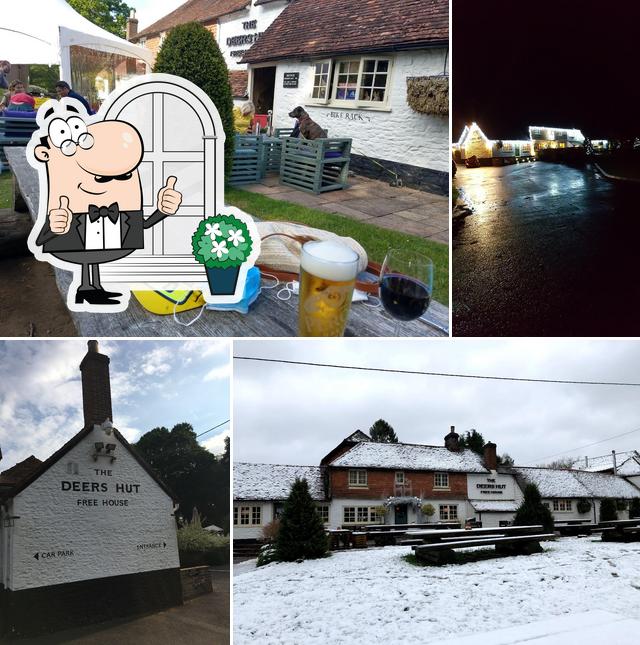 Top 5 pubs & bars in Bramshott and Liphook, june 2025 - Restaurant Guru