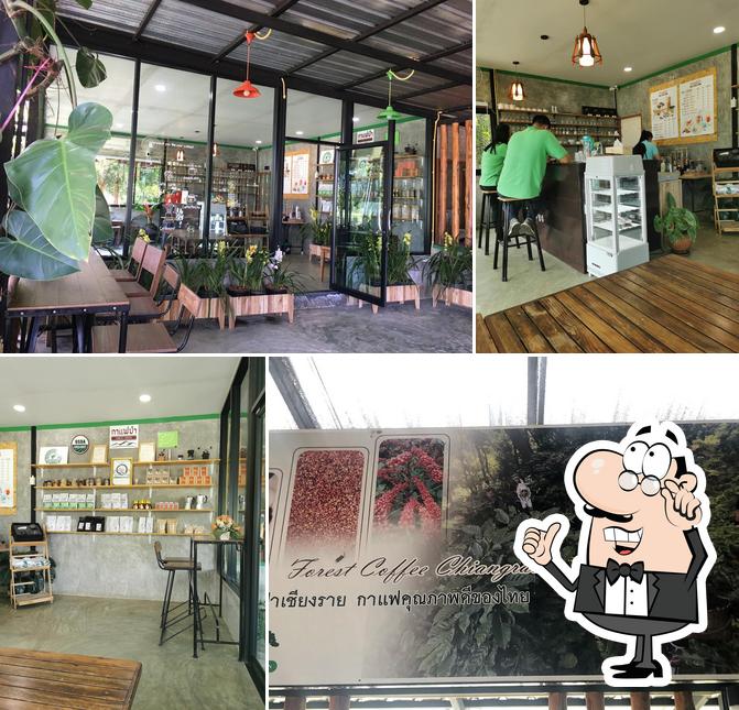 โรงคั่วกาแฟป่า cafe, Pa Ko Dam - Restaurant reviews