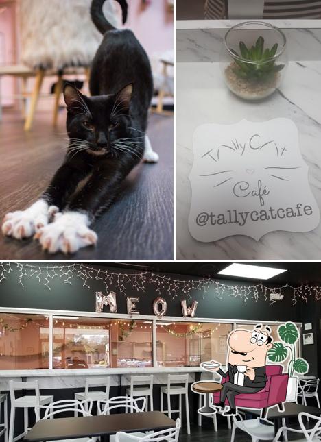 Tally Cat Cafe, Tallahassee - Restaurant menu, prices and reviews
