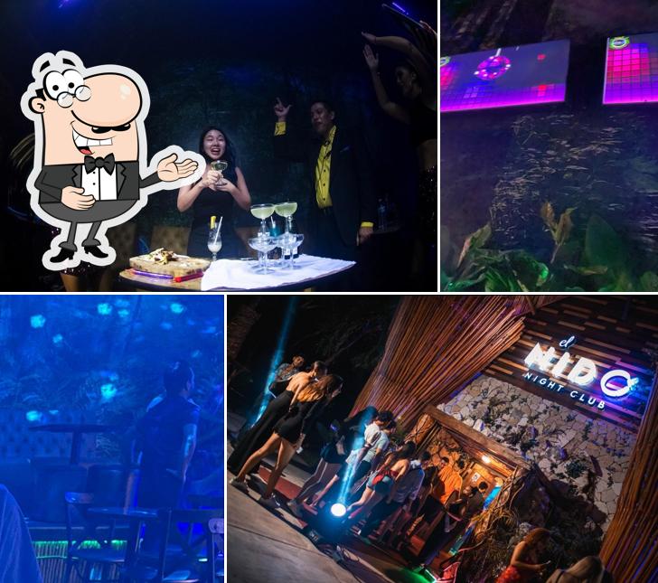 Best clubs in Mahahual, winter 2023 - Restaurant Guru