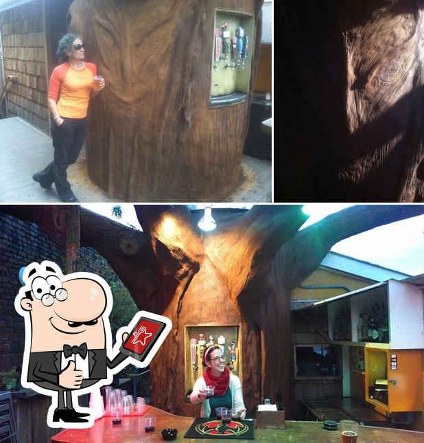Magic Beer Tree in the Moonshine Roof Garden in Knoxville - Restaurant ...
