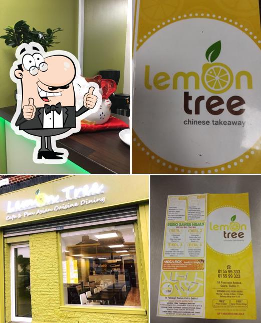 Lemon Tree Cabra, 58 Faussagh Ave in Dublin - Restaurant menu and reviews