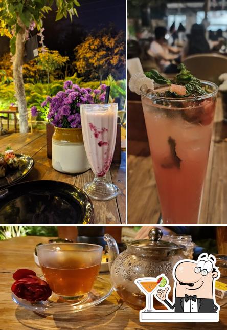 Casa Boho, Indore - Restaurant menu, prices and reviews