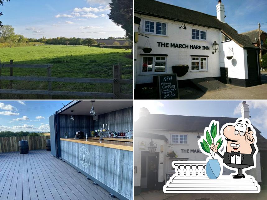 The March Hare Inn in Worcester - Restaurant reviews