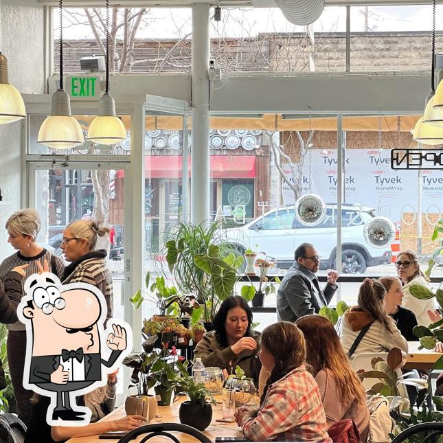 Wood & Root Bar in Meridian - Restaurant reviews