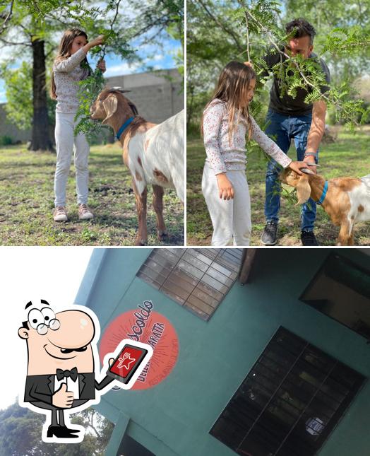 Al Rescoldo restaurante de campo, Córdoba - Menú del restaurante ...