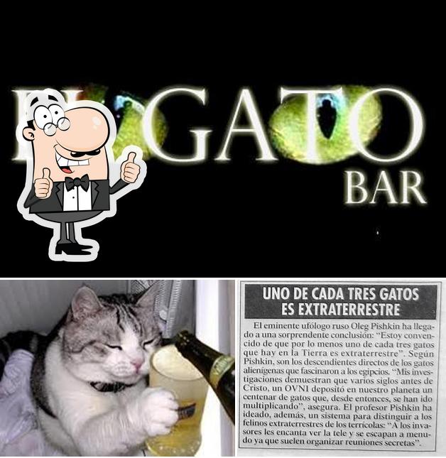 El Gato Bar, Tultitlán de Mariano Escobedo - Menú del restaurante ...