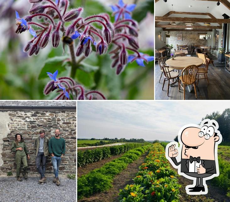 Top 5 places to eat in Pillaton, october 2025 - Restaurant Guru