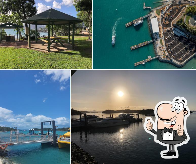 Shute Harbour Marine Terminal in Shute Harbour - Restaurant reviews