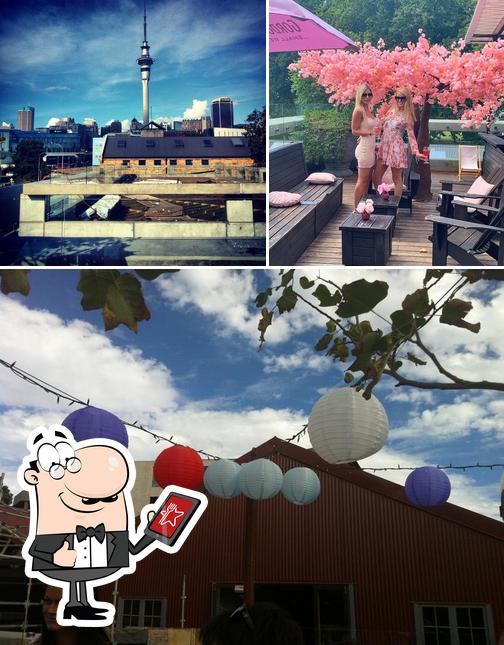 La Zeppa Rooftop Bar in Auckland