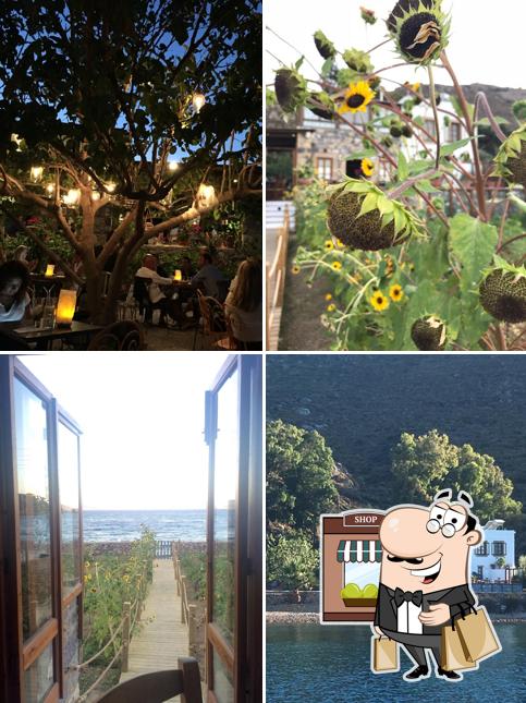 Benetos, Patmos - Restaurant menu and reviews