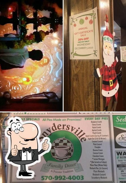 Snydersville Family Diner in Arlington Heights - Restaurant menu and ...